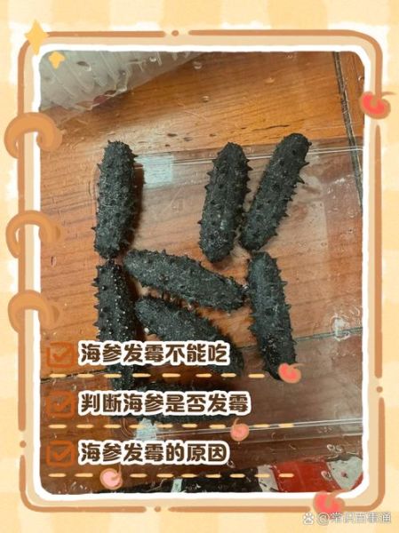 海参发霉了还能吃吗_海参发霉图片辨别方法-第2张图片-山城妙识 海参发霉了还能吃吗_海参发霉图片辨别方法-第2张图片-山城妙识