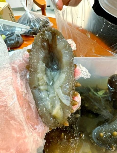 海参变质图片_怎么判断海参坏了-第1张图片-山城妙识