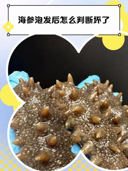 海参变质图片_怎么判断海参坏了-第2张图片-山城妙识