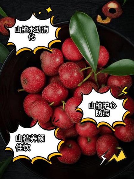 山楂吃了有什么好处_山楂的功效与作用-第1张图片-山城妙识 山楂吃了有什么好处_山楂的功效与作用-第1张图片-山城妙识