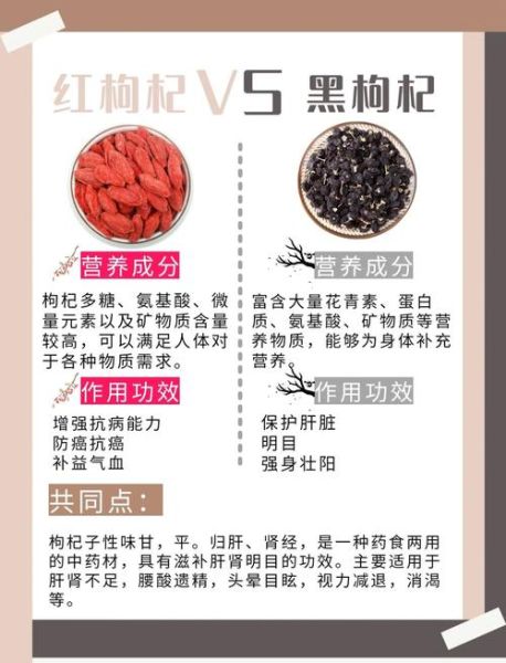 黑枸杞和红枸杞哪个好_黑枸杞与红枸杞的区别-第3张图片-山城妙识 黑枸杞和红枸杞哪个好_黑枸杞与红枸杞的区别-第3张图片-山城妙识