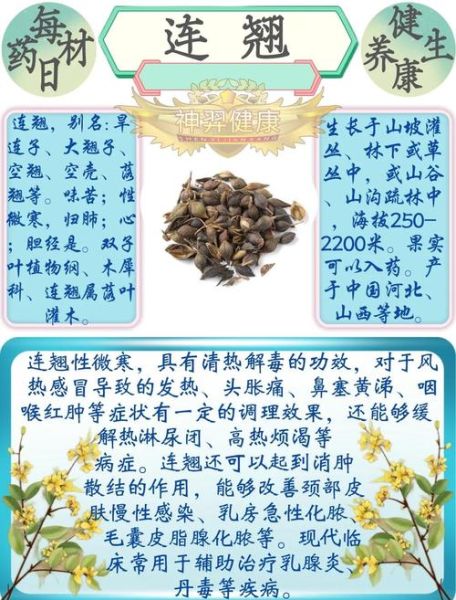 荆芥连翘汤的功效与作用_荆芥连翘汤适合哪些人群-第1张图片-山城妙识 荆芥连翘汤的功效与作用_荆芥连翘汤适合哪些人群-第1张图片-山城妙识