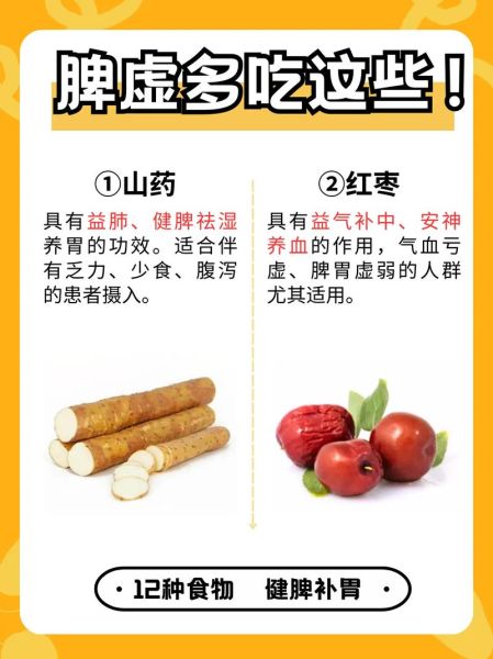 女人脾虚怎么调理最有效_脾虚吃什么食物好-第3张图片-山城妙识 女人脾虚怎么调理最有效_脾虚吃什么食物好-第3张图片-山城妙识