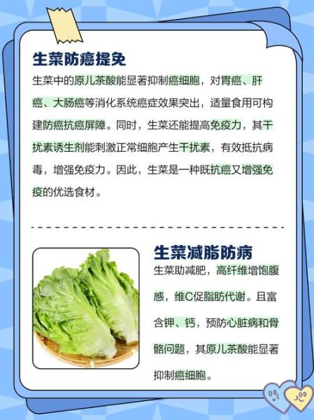 生菜可以生吃吗_生吃生菜安全吗-第3张图片-山城妙识 生菜可以生吃吗_生吃生菜安全吗-第3张图片-山城妙识