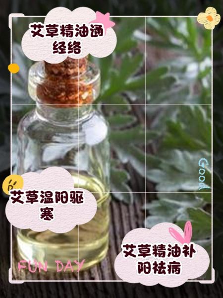 艾草精油的功效与作用_艾草精油怎么用-第2张图片-山城妙识 艾草精油的功效与作用_艾草精油怎么用-第2张图片-山城妙识