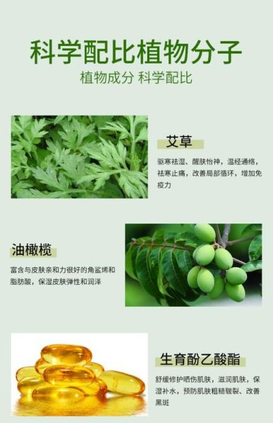 艾草精油的功效与作用_艾草精油怎么用-第3张图片-山城妙识 艾草精油的功效与作用_艾草精油怎么用-第3张图片-山城妙识