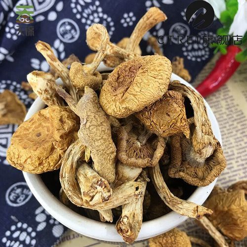 干滑子菇泡多长时间_干滑子菇怎么泡发才干净-第1张图片-山城妙识 干滑子菇泡多长时间_干滑子菇怎么泡发才干净-第1张图片-山城妙识