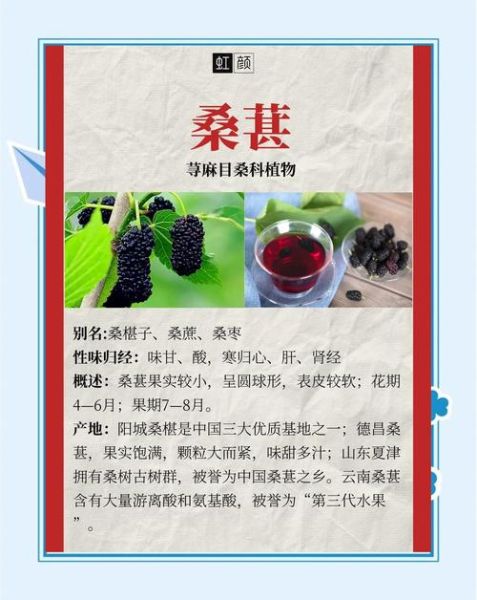 桑葚的功效与作用_桑葚怎么吃效果最好-第1张图片-山城妙识 桑葚的功效与作用_桑葚怎么吃效果最好-第1张图片-山城妙识