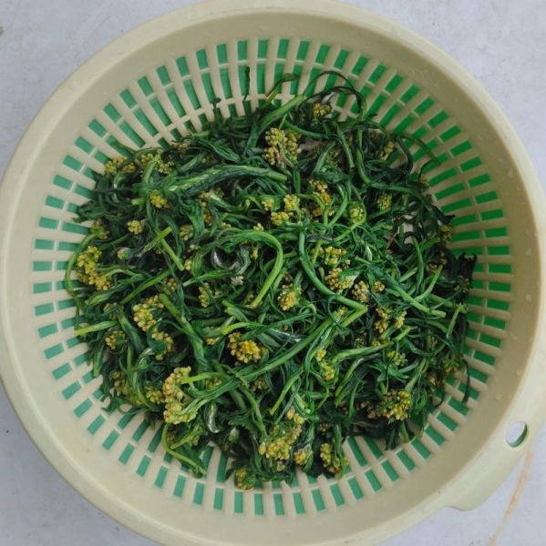 清明菜怎么做好吃_清明菜的家常做法-第1张图片-山城妙识 清明菜怎么做好吃_清明菜的家常做法-第1张图片-山城妙识