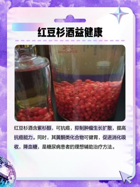 红豆沙树泡酒的功效与作用_红豆沙树泡酒怎么泡-第3张图片-山城妙识 红豆沙树泡酒的功效与作用_红豆沙树泡酒怎么泡-第3张图片-山城妙识