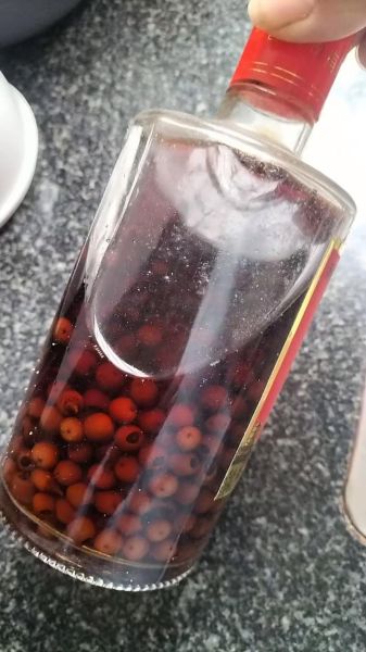 红豆沙树泡酒的功效与作用_红豆沙树泡酒怎么泡-第2张图片-山城妙识 红豆沙树泡酒的功效与作用_红豆沙树泡酒怎么泡-第2张图片-山城妙识