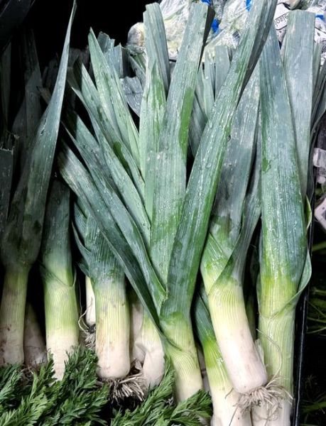 葱的拼音怎么读_葱的拼音声调是几声-第2张图片-山城妙识 葱的拼音怎么读_葱的拼音声调是几声-第2张图片-山城妙识