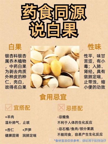 白果的药用价值有哪些_白果的副作用有哪些-第1张图片-山城妙识 白果的药用价值有哪些_白果的副作用有哪些-第1张图片-山城妙识