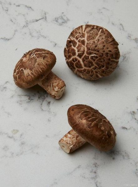 香菇花菇金钱菇区别_哪个更好吃-第3张图片-山城妙识 香菇花菇金钱菇区别_哪个更好吃-第3张图片-山城妙识