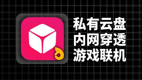 花生壳内网穿透收费吗_免费版与付费版区别-第3张图片-山城妙识 花生壳内网穿透收费吗_免费版与付费版区别-第3张图片-山城妙识