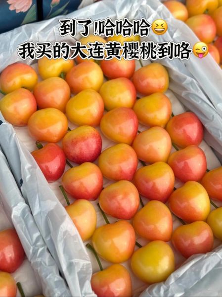 黄樱桃怎么挑选_黄樱桃营养价值高吗-第1张图片-山城妙识 黄樱桃怎么挑选_黄樱桃营养价值高吗-第1张图片-山城妙识