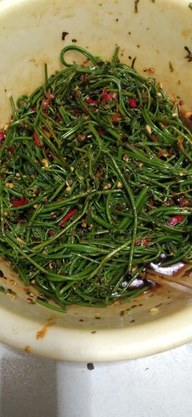 腌制蕨菜的做法大全_蕨菜怎么腌制才脆嫩-第1张图片-山城妙识 腌制蕨菜的做法大全_蕨菜怎么腌制才脆嫩-第1张图片-山城妙识