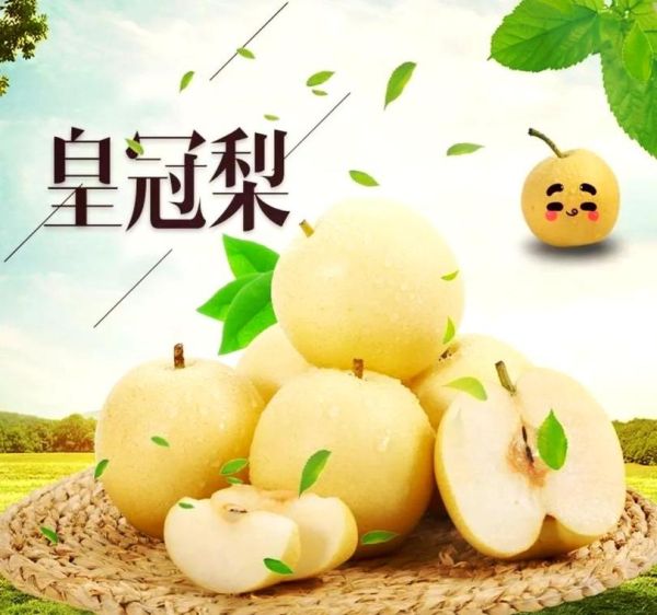 鸭梨和雪梨的区别_哪个更好吃-第1张图片-山城妙识 鸭梨和雪梨的区别_哪个更好吃-第1张图片-山城妙识