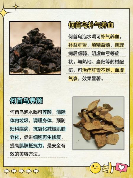 生何首乌泡水喝的功效_生何首乌泡水多久见效-第1张图片-山城妙识 生何首乌泡水喝的功效_生何首乌泡水多久见效-第1张图片-山城妙识