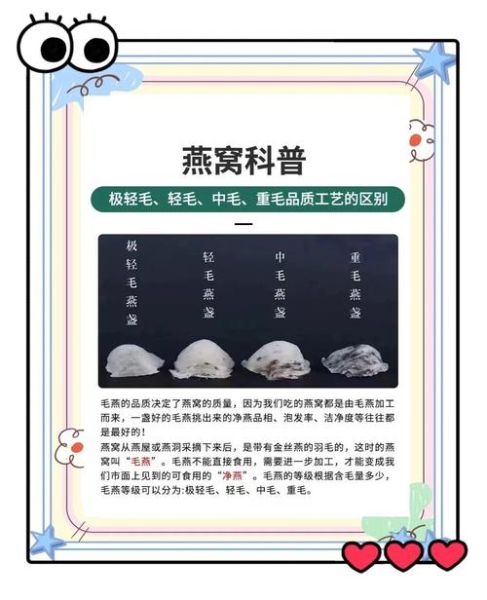 燕窝是怎么生产出来的_燕窝采摘后如何加工-第2张图片-山城妙识 燕窝是怎么生产出来的_燕窝采摘后如何加工-第2张图片-山城妙识