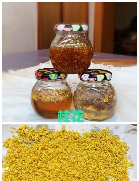 腌糖桂花怎么做_糖桂花保存多久-第2张图片-山城妙识 腌糖桂花怎么做_糖桂花保存多久-第2张图片-山城妙识