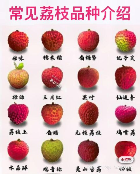 桂味荔枝和妃子笑荔枝哪个好吃_口感区别-第1张图片-山城妙识 桂味荔枝和妃子笑荔枝哪个好吃_口感区别-第1张图片-山城妙识