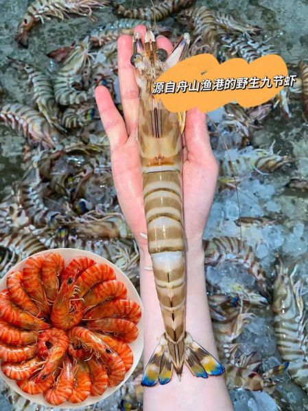 海虾品种大全_哪种海虾最好吃-第3张图片-山城妙识 海虾品种大全_哪种海虾最好吃-第3张图片-山城妙识