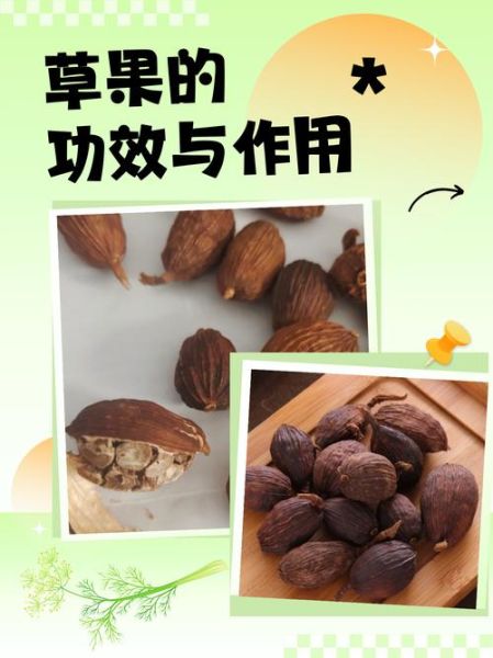 草果的功效与作用_草果怎么吃好-第1张图片-山城妙识 草果的功效与作用_草果怎么吃好-第1张图片-山城妙识