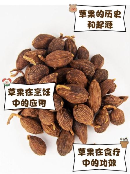 草果的功效与作用_草果怎么吃好-第2张图片-山城妙识 草果的功效与作用_草果怎么吃好-第2张图片-山城妙识