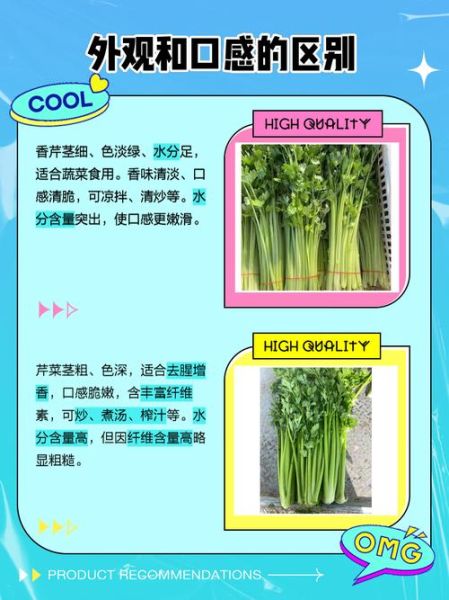 香芹和芹菜的区别图片_如何一眼分辨-第1张图片-山城妙识 香芹和芹菜的区别图片_如何一眼分辨-第1张图片-山城妙识