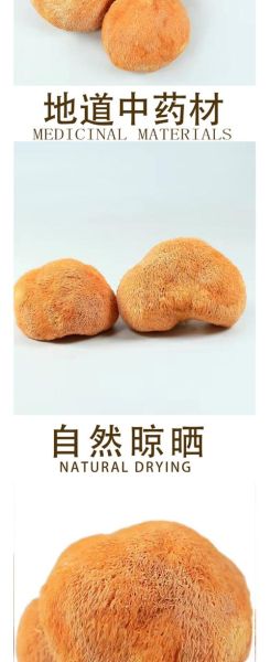 猴头菇价格多少钱一斤_鲜干猴头菇价格区别-第1张图片-山城妙识