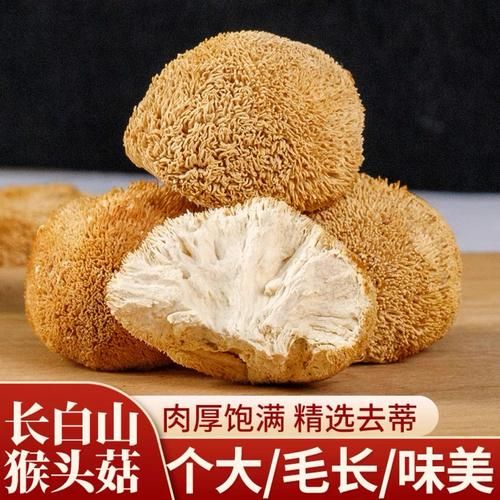 猴头菇价格多少钱一斤_鲜干猴头菇价格区别-第3张图片-山城妙识