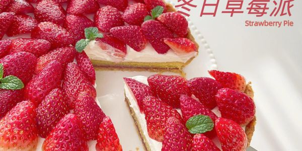 草莓派英语怎么样_草莓派英语价格-第3张图片-山城妙识