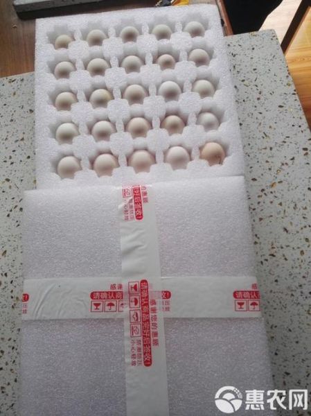 贵妃鸡蛋和普通鸡蛋区别_贵妃鸡蛋营养价值高吗-第1张图片-山城妙识 贵妃鸡蛋和普通鸡蛋区别_贵妃鸡蛋营养价值高吗-第1张图片-山城妙识