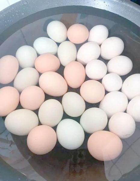 贵妃鸡蛋和普通鸡蛋区别_贵妃鸡蛋营养价值高吗-第2张图片-山城妙识 贵妃鸡蛋和普通鸡蛋区别_贵妃鸡蛋营养价值高吗-第2张图片-山城妙识