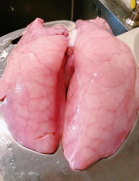 猪肺煲汤的做法_猪肺怎么煲汤才好吃-第3张图片-山城妙识 猪肺煲汤的做法_猪肺怎么煲汤才好吃-第3张图片-山城妙识