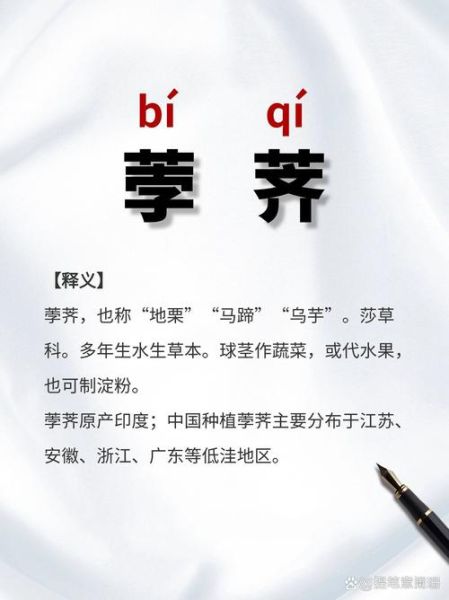 茡荠怎么念_茡荠的正确读音是什么-第1张图片-山城妙识 茡荠怎么念_茡荠的正确读音是什么-第1张图片-山城妙识