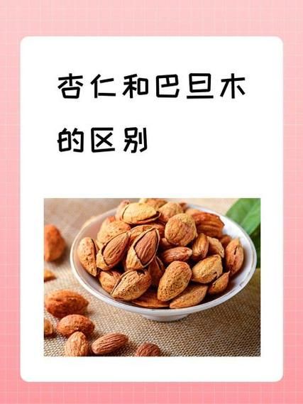 巴旦木是什么果_巴旦木和杏仁的区别-第2张图片-山城妙识