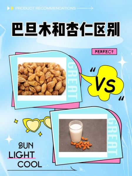 巴旦木是什么果_巴旦木和杏仁的区别-第1张图片-山城妙识