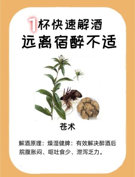 解酒最快的方法_宿醉后第二天吃什么好-第3张图片-山城妙识 解酒最快的方法_宿醉后第二天吃什么好-第3张图片-山城妙识