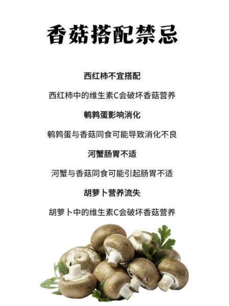 香菇和金针菇的区别_如何挑选新鲜菇类-第3张图片-山城妙识 香菇和金针菇的区别_如何挑选新鲜菇类-第3张图片-山城妙识