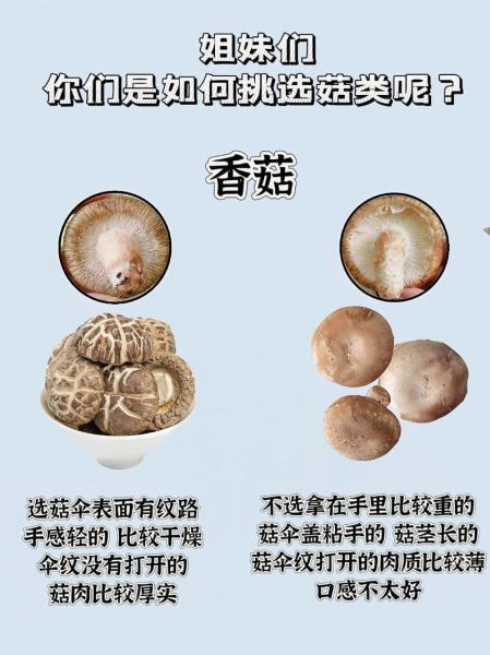 香菇和金针菇的区别_如何挑选新鲜菇类-第1张图片-山城妙识 香菇和金针菇的区别_如何挑选新鲜菇类-第1张图片-山城妙识
