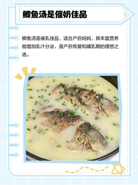鲫鱼汤下奶是真的吗_鲫鱼汤催奶科学原理-第1张图片-山城妙识 鲫鱼汤下奶是真的吗_鲫鱼汤催奶科学原理-第1张图片-山城妙识