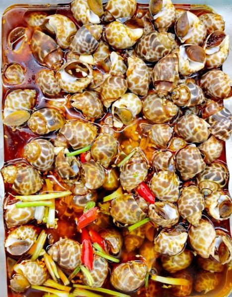 花螺水煮几分钟_花螺怎么煮才鲜嫩-第1张图片-山城妙识