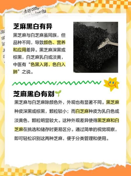 黑芝麻油和白芝麻油哪个好_黑芝麻油和白芝麻油的区别-第2张图片-山城妙识