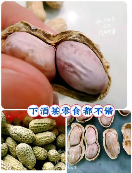 咸干花生米怎么做_咸干花生米做法窍门-第2张图片-山城妙识