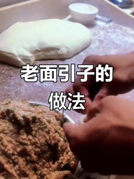 老面引子怎么保存_老面引子做法步骤-第2张图片-山城妙识