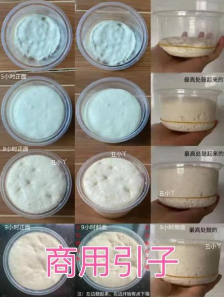 老面引子怎么保存_老面引子做法步骤-第1张图片-山城妙识