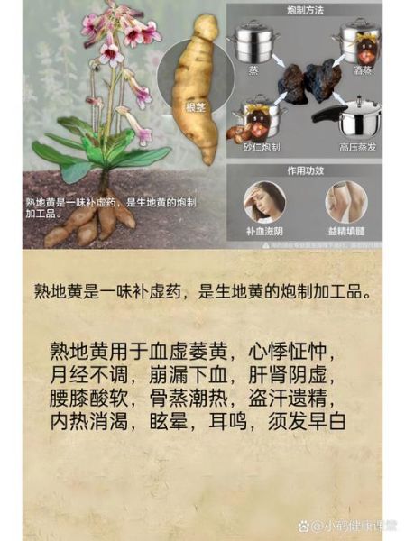 熟地的功效与作用_熟地的副作用有哪些-第2张图片-山城妙识