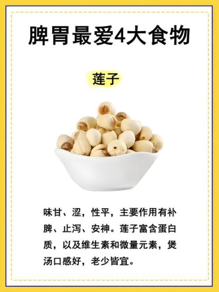 男人吃莲子会影响性功能吗_莲子对男性性能力的影响-第2张图片-山城妙识 男人吃莲子会影响性功能吗_莲子对男性性能力的影响-第2张图片-山城妙识